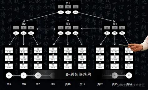 B树和b树的区别什么？今天，我给大家介绍一种面试中经常被问到数据结构树。大家可能也经常会听到二叉树、二叉查找树、avl 掘金
