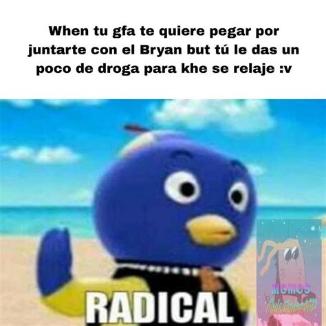 Vendías Y Memes De Los Backyardigans 40 Wattpad