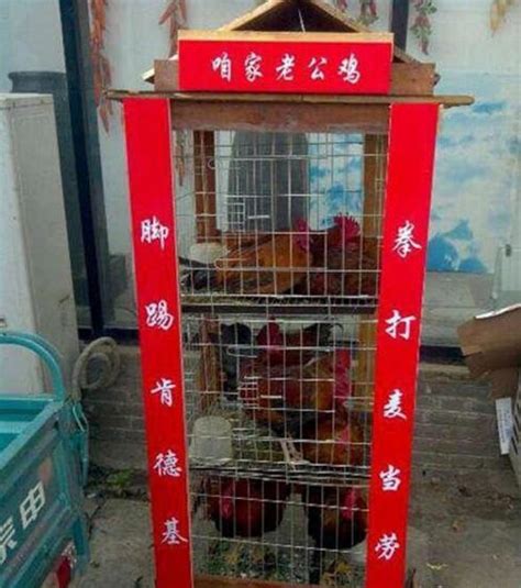 兩個在這麼渾的水裏摸魚明白真相的我笑了 每日頭條