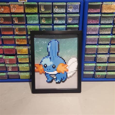Mudkip On The Beach R Pokemonart