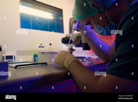 Genetic Laboratory Worker Adding Female Cells To Cell Culture Dish