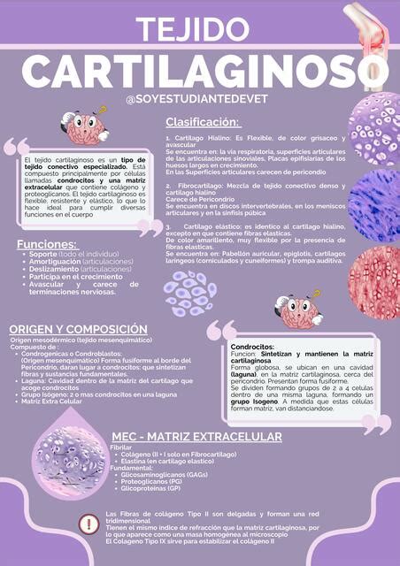Histología Tejido Cartilaginoso Patricio Espinoza Jara uDocz