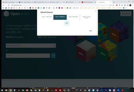Hanging Validation Preventing Web Upload Issue OpenNeuroOrg Openneuro GitHub