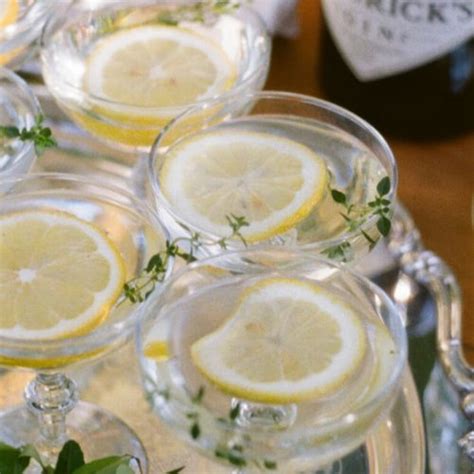 Gimlet Recipe A Classic Gin Cocktail Saucey Blog