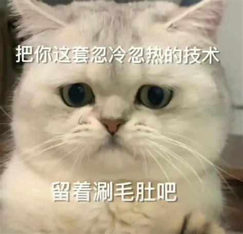 80张无水印有趣可爱的表情包 知乎
