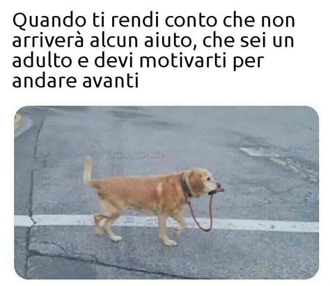 40 Foto Strane E Divertenti Dal Profilo Instagram Più Bizzarro Di Internet