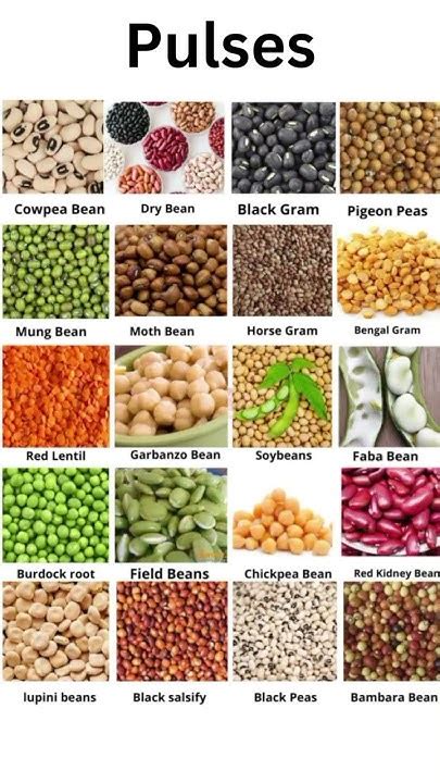 Pulses Pulses Names In English Grammar Vocabulary English Youtube