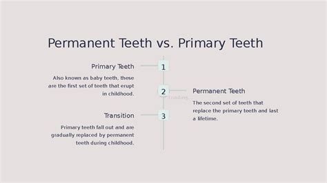 Human Teeth Tooth Anatomyteeth Classification презентация