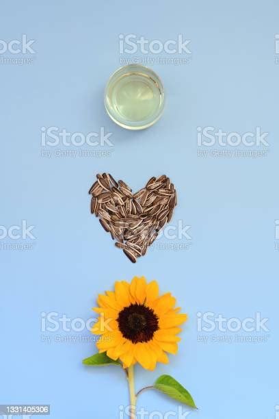 해바라기 씨와 신선한 노란색 해바라기의 최고 보기 파란색 배경에 해바라기 기름 플랫 레이 공간을 복사합니다 여름 개념 수확 시간