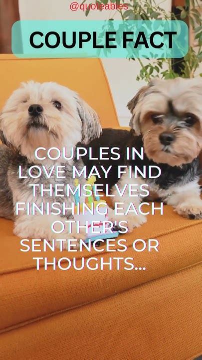 Psychology Fact 😉 Couple Fact 😌 😍 🥰 Shorts Psychologyfacts