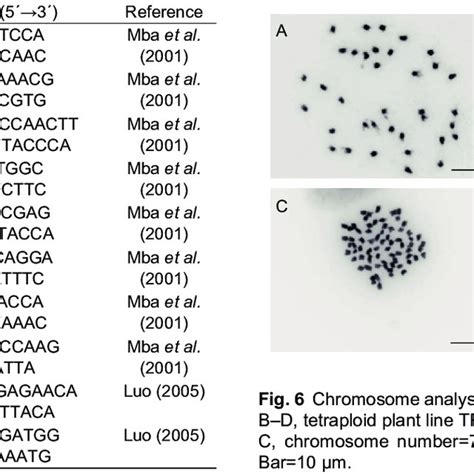 Ssr Primer Pairs Used To Verify The Nuclear Genome Origin Of The Fusion