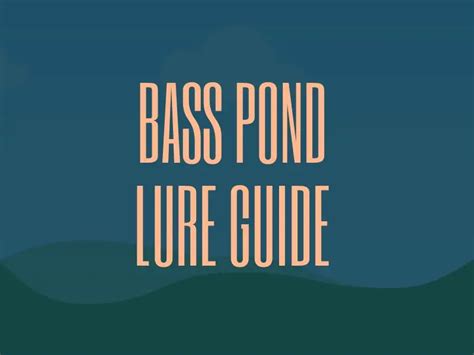 Best Bass Lures For Ponds Buying Guide