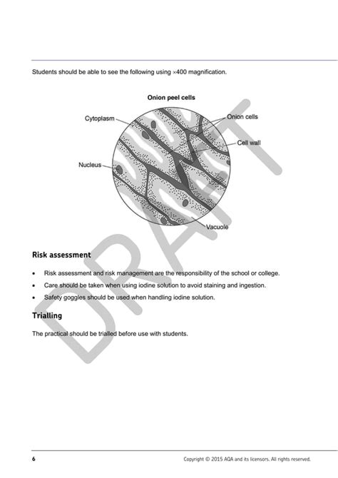 Require Practical Activities Microscopy Plant Cell Practical Igcse Biology Worksheet