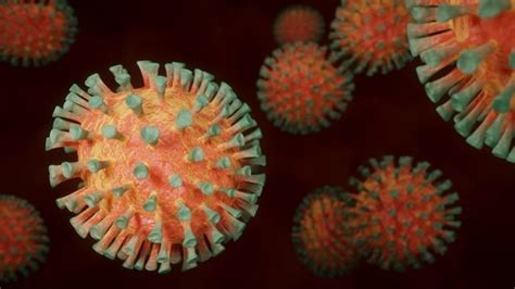 Covid 19 Found In Sputum And Feces Samples After Pharyngeal Swabs Are