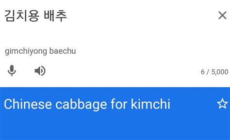 김치용 배추 구글로 번역하면 Chinese Cabbage …서경덕 구글에 항의 Sbs Biz