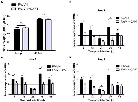 frontiers tmt based quantitative proteomics analysis reveals the role of notch signaling in