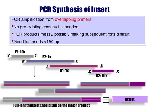 PPT Primer Design PowerPoint Presentation Free Download ID