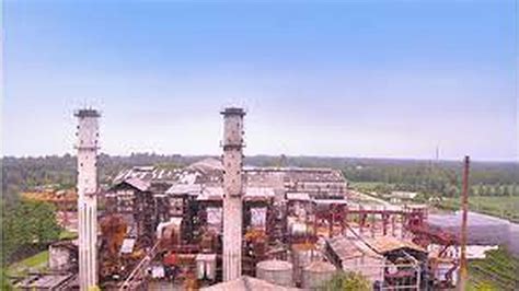Dwarikesh Sugar To Pay ₹2 Dividend The Hindubusinessline
