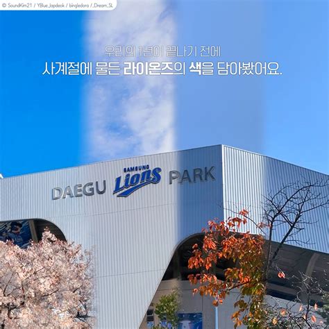삼성라이온즈 [월간 라클] 라이온즈 그리고 봄 여름 가을 겨울 라이온즈 팬 크리에이터들이