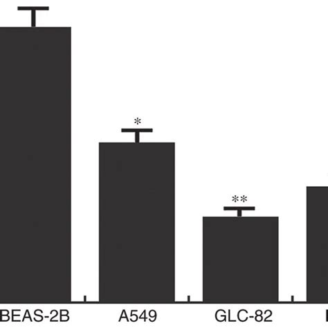 Pbk Topk Protein And Mrna Expression Levels In Lung Adenocarcinoma Cell