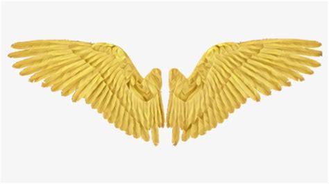 Wings Alas Gold Golden Doradas Oro Gods Dioses Realistic
