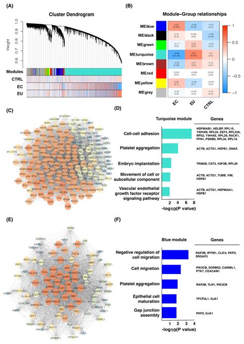 Analysis Of Differences In The Transcriptomic Profiles Of Eutopic And Ectopic Endometriums In
