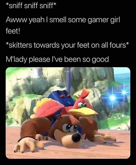 Gamer Girl Feet Rdankmemes