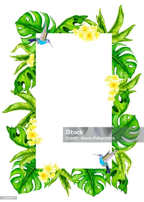 열대 나뭇잎 프랜지파니 꽃 벌새로 만든 직사각형 프레임 수채화 식물 그림입니다 꽃 구성 초대장 포스터 카드 인사말 카드 등을 위한 디자인 광고에 대한 스톡 벡터 아트 및
