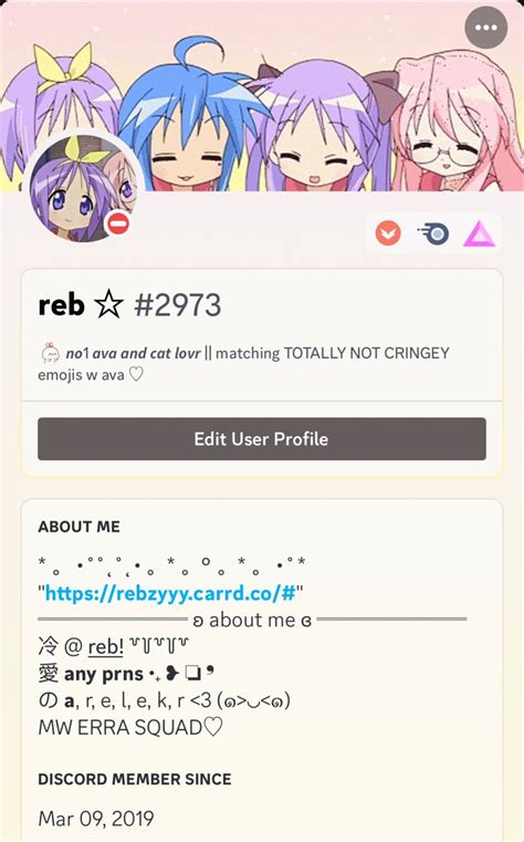 My Discord Profile Theme In 2023 Discord Profile User Profile