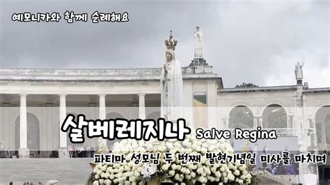 살베레지나 Salve Regina 파티마 성모님 두 번째 발현기념일 미사를 마치며 YouTube