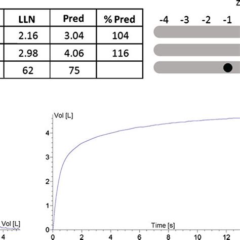 Pdf Reference Values For Spirometry And Their Use In Test Interpretation A Position Statement