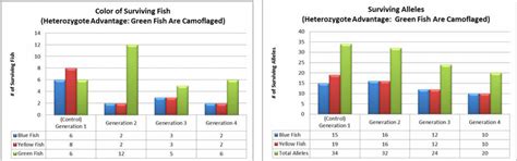 Hardy Weinberg Lab Ap Biology