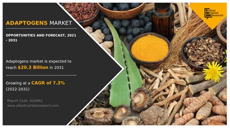 Adaptogens Market Size Share Industry Business Report 2031