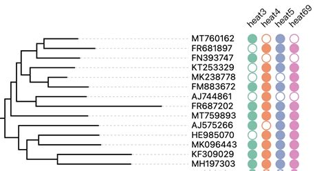 dataset layer · gitbook