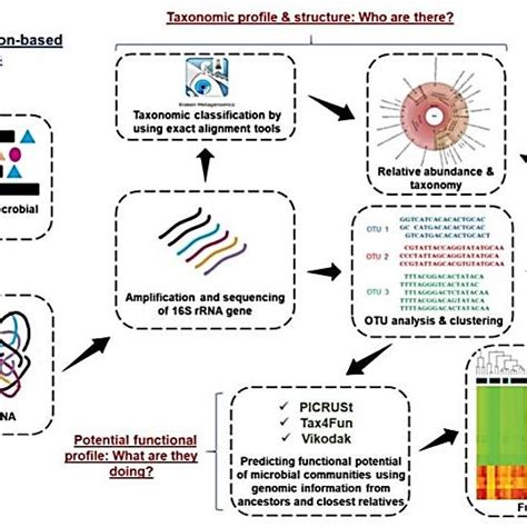 Figure5 General Pipeline And Bioinformatic Tools Considered For The Download Scientific