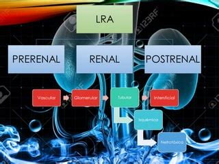 Clasificacion Lesion Renal Aguda Ppt