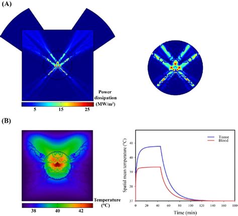The Ultrasonic Power Deposition By The Focal Points Causes The Central