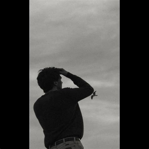 دانلود آهنگ شیرین بتمنی انساک ورژن ترند اینستا گوزن موزیک دانلود