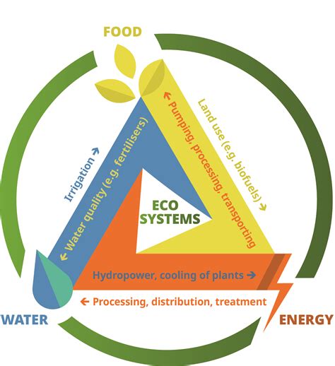 Water In Food