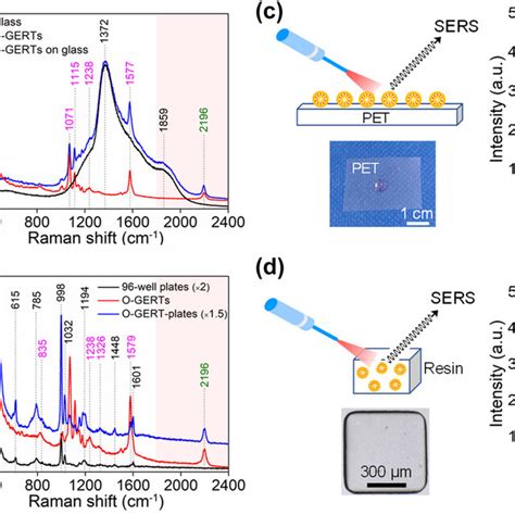 Schematic Diagram Of Raman Measurements And The Anti Interference Download Scientific Diagram