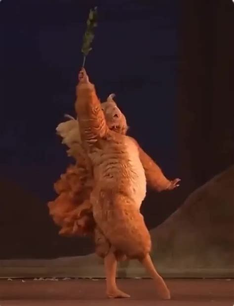 Ballet Album On Imgur