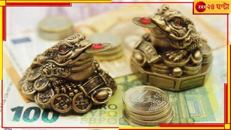 Feng Shui Tips ঘরে ফেং শুই রাখুন এই নিয়মে অর্থের জোয়ারে ফিরবে ভাগ্য