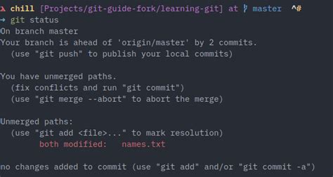 View The Files With Conflict