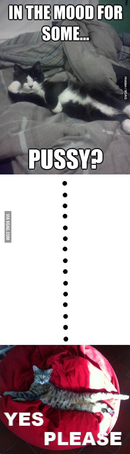 Here Kitty Kitty 9gag Here Kitty Kitty 9gag