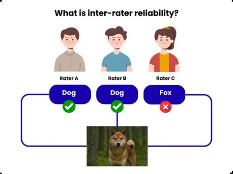 What Is Inter Rater Reliability Definition Cohens Kappa And More
