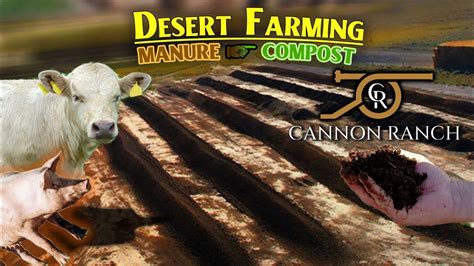 How We Fertilize Our Fields Without Commercial Fertilizer Youtube