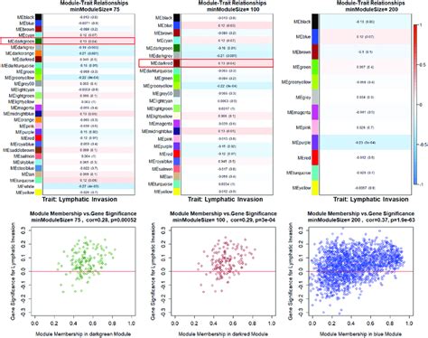 Comparison Of Module Trait Relationship Matrices Download Scientific