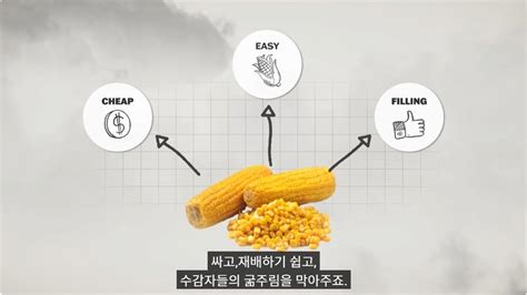 북한 교도소 음식 ㄷㄷ 연예이슈 수다방 네모판