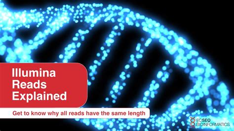 Ecseq Bioinformatics Gmbh On Linkedin Bioinformatics Ngs