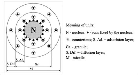 The Component Of A Micellar Structure 1 Download Scientific Diagram